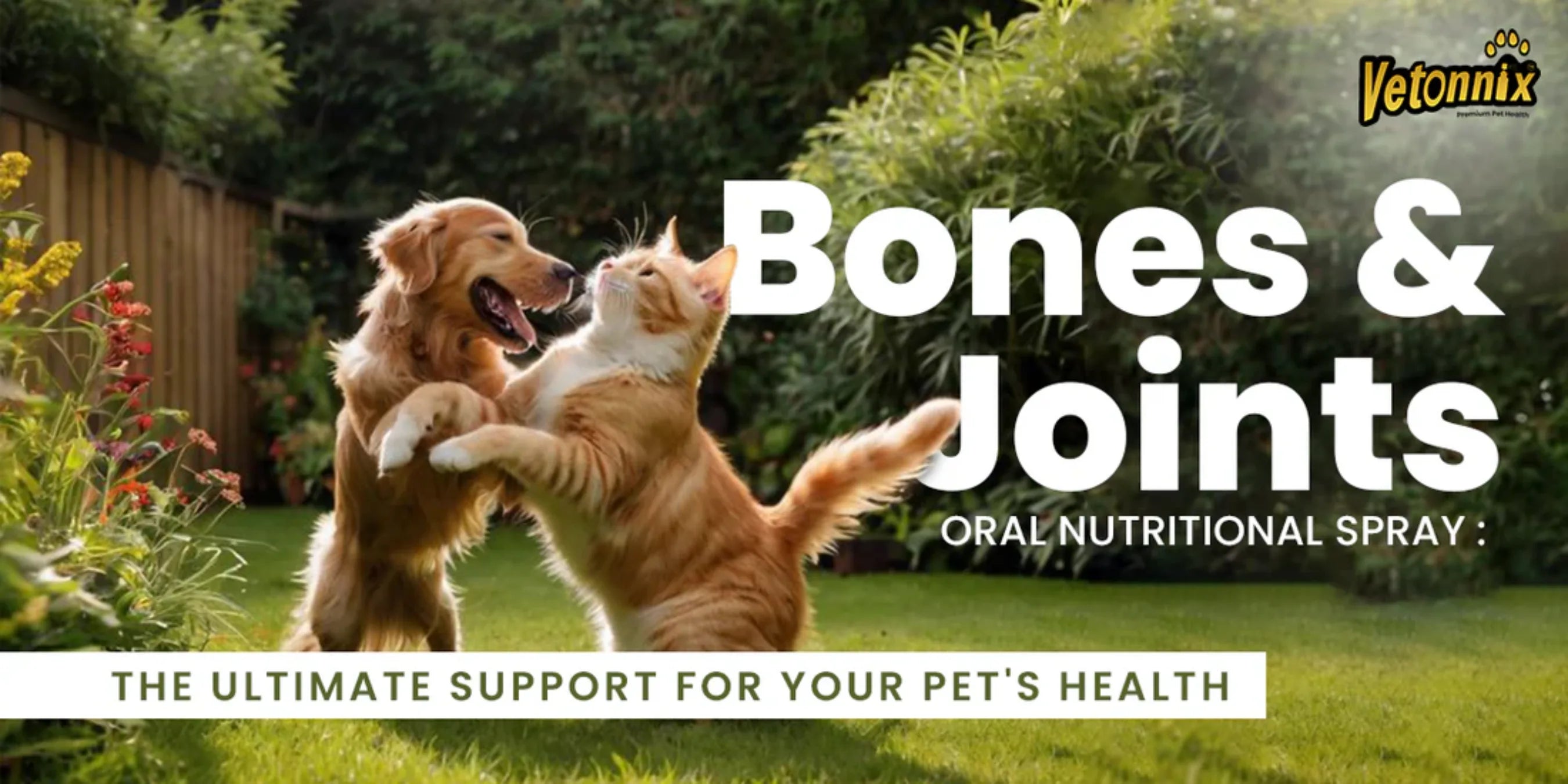 Vetonnix Bones & Joints Oral Nutritional Spray for Pets – Vetonnix®